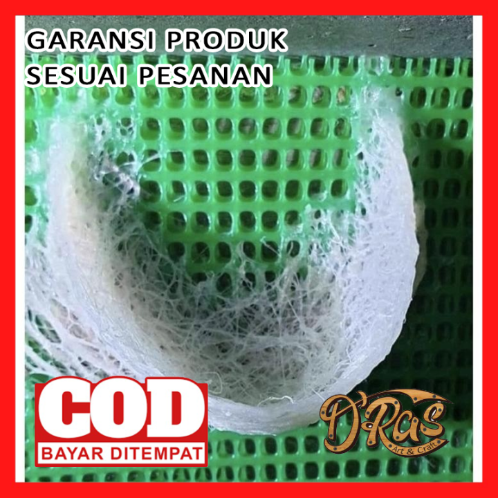 Kawat Jaring Plastik HDPE pelapis sirip burung walet || harga untuk ...