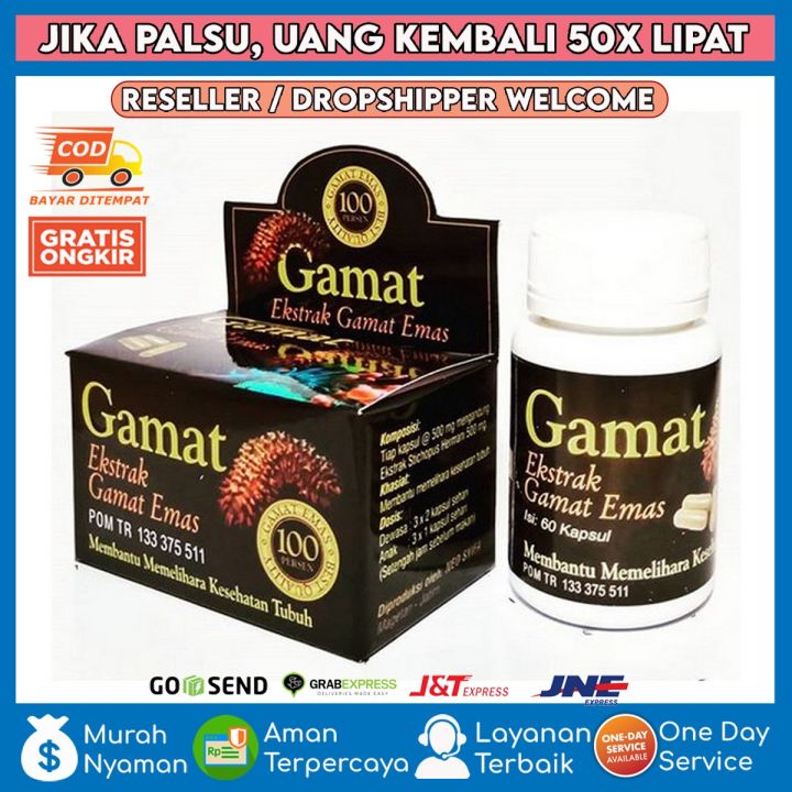 Kapsul Ekstrak Gamat Emas 60 Kapsul Neo Syifa Herbal obat Penyembuhan ...