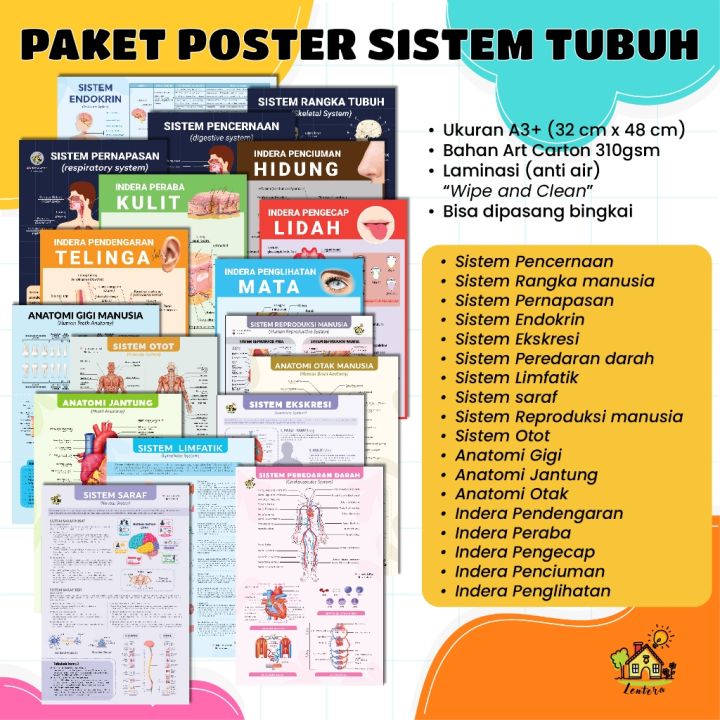 Poster Biologi Anatomi Sistem Tubuh Manusia Fisiologi Manusia Indera Rangka Tubuh Pernapasan ...