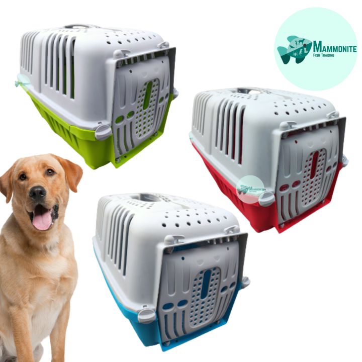 Colorful Pet Carrier Box Container Travel Crates For Dog Cat Bird ...