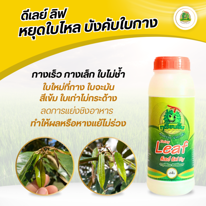 Delay Leaf ( ดีเลย์ลิฟ) ทุเรียนยิ้ม ( ขนาด 1 ลิตร ) "หยุดใบไหล บังคับใบ ...