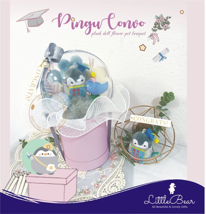 Graduation Flower Pot Bouquet for Convocation Congratulation Pingu ...