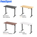 FlexiSpot E2 Standing Desk Height Adjustable Table Single Motor ...
