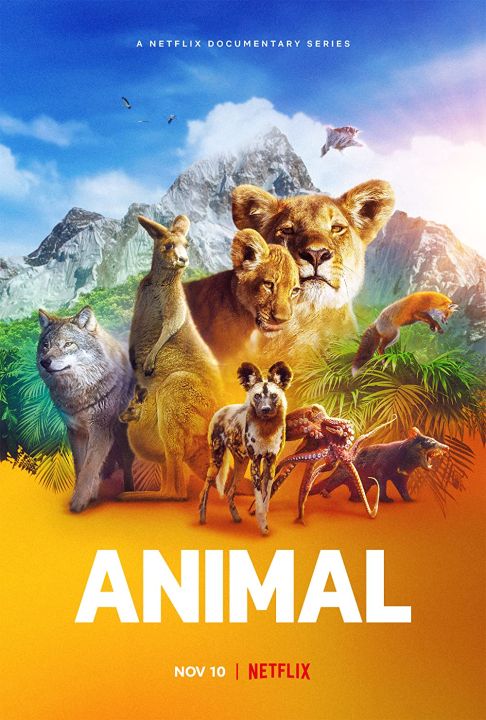 Animal Season 1 (2 Disc) 2021 & 2 2022 Blu-ray DOCUMENTARY | Lazada