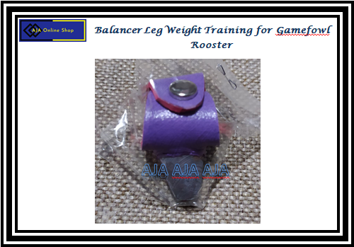 Balancer Leg Weight Training for Gamefowl Rooster / Gaffing Accessories ... Balancer Leg Weight Training for Gamefowl Rooster / Gaffing Accessories ...