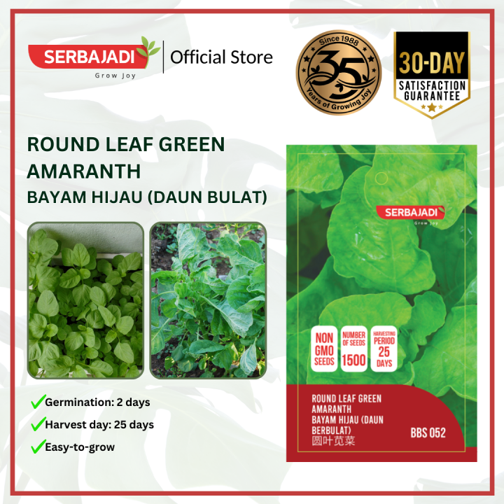 Serbajadi Vegetable Seed Round Leaf Green Amaranth | Round Leaf Green ...
