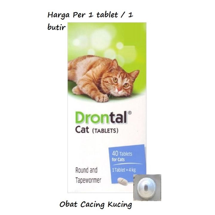 Drontal CAT Obat Cacing Kucing 1 Tablet (1 Butir) Drontal Kucing ...