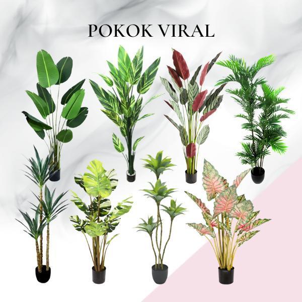 PREMIUM SKYBIRD HOME DECOR / POKOK HIASAN VIRAL / POKOK PISANG ...