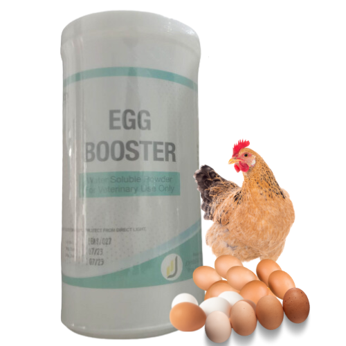 WITH VITAMINS, MINERAL AT PAMPADAMI NG ITLOG 1KG EGG BOOSTER WATER ...