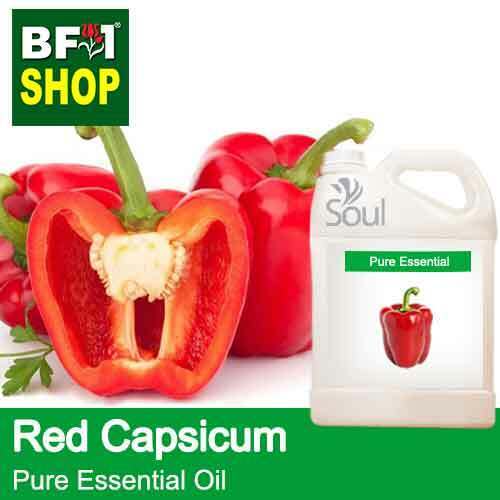 Pure Essential Oil (EO) - Capsicum Red Pure Essential Oil - 5L | Lazada