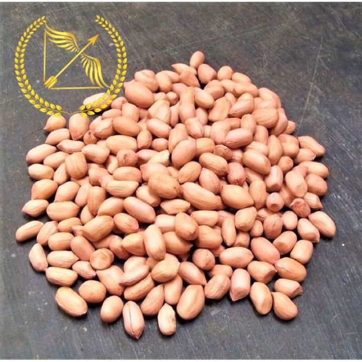 1KG kacang tanah/Raw Peanut | Lazada