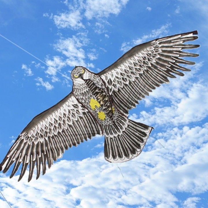 Mainan LAYANG ELANG PARASUT (BLACK EAGLE KITE)/Mainan Layangan Parasut ...