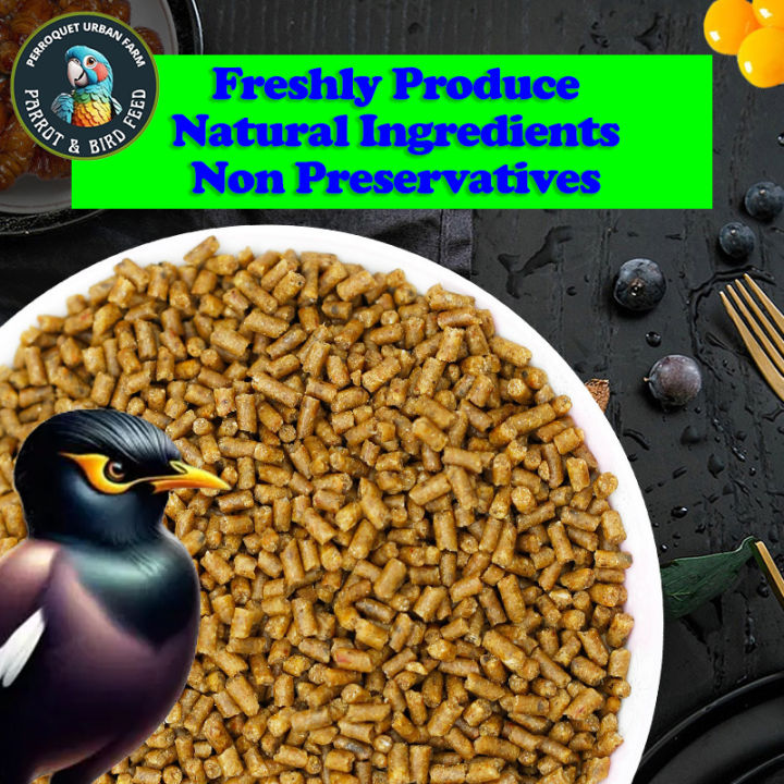 Perroquet Bird Soft Food Tiong Gembala Tiong Jambul High Nutrition ...
