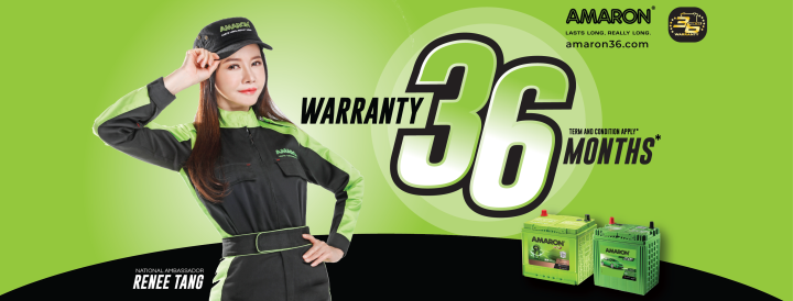 BATTERY AMARON GO & AMARON PRO FROM INDIA NS40L / NS60L / DIN80 / DIN66 ...