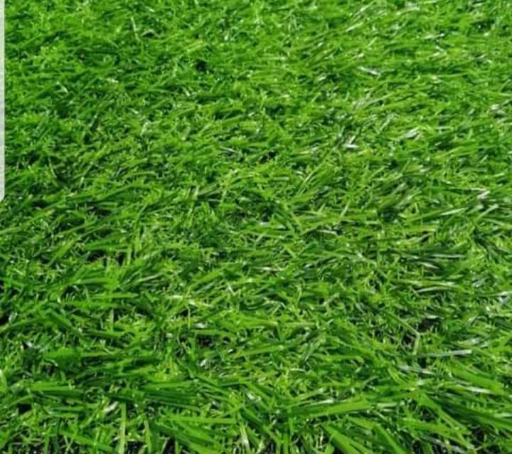 Grass damo Carpet 1METERX2METER makapal indoor outdoor | Lazada PH