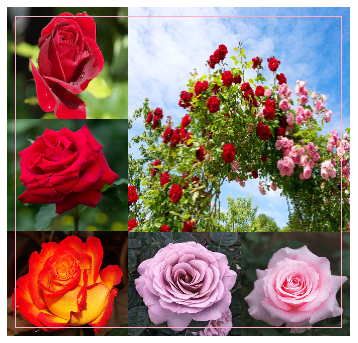 Pelbagai Benih Ros Merah Jambu Pink Red Rose Seed Flower Seeds ...