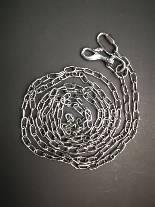 Heavy Duty Stainless Steel Grade 304 Dog leash chain 2mm link chain in ...