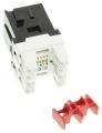 BELDEN Cat6 Information Outlet AX101321 Black/White i/o Keyconnect ...
