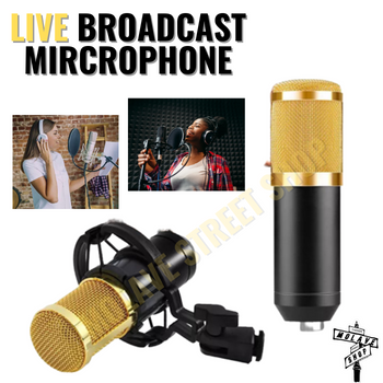 Microphone Full Set With Condenser | Karaoke Studio Videoke | Bm 600 ...