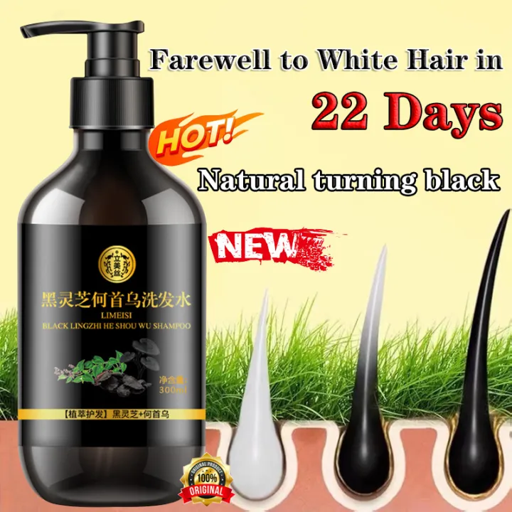 Black Ganoderma lucidum and Polygonum multiflorum shampoo plant extract, thick hair shampoo ...