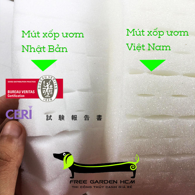 COMBO 1080 VIÊN MÚT XỐP ƯƠM HẠT NHẬT BẢN CẮT RÃNH | Lazada.vn