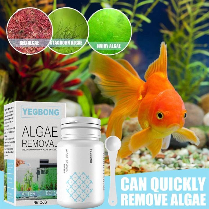 Keepwarm [Ready Stock]Fish Tank Cleaning Powder Algae Repellent Agent ...