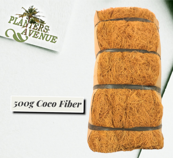 STORE FLASH SALE 500g Best And High Quality Coco Fiber Ever For Plants ...