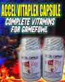 Accel Lifetime Capsule For Gamefowl Pigeons Birds Animals Super ...