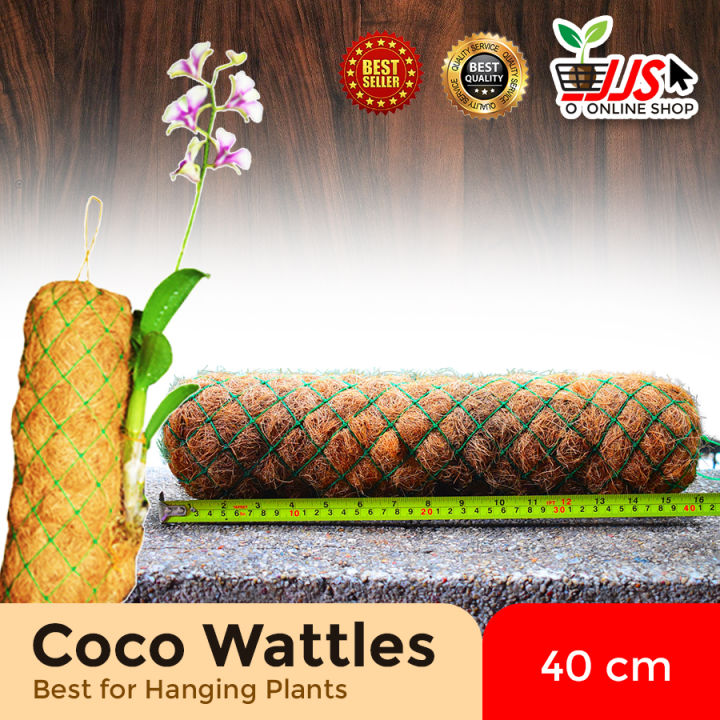 🛒 JJS Store | 40 cm Coco Wattles for orchids High Quality Coconut Coir ...