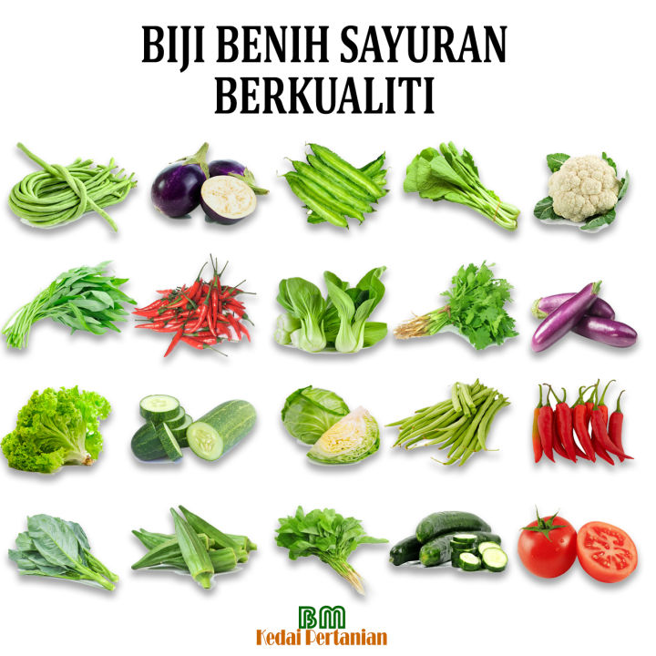 Biji Benih Sayuran Berdaun / Vegetable Seed | Lazada