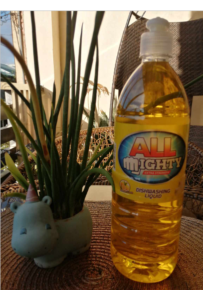 All Mighty (1 Ltr) | Lazada PH