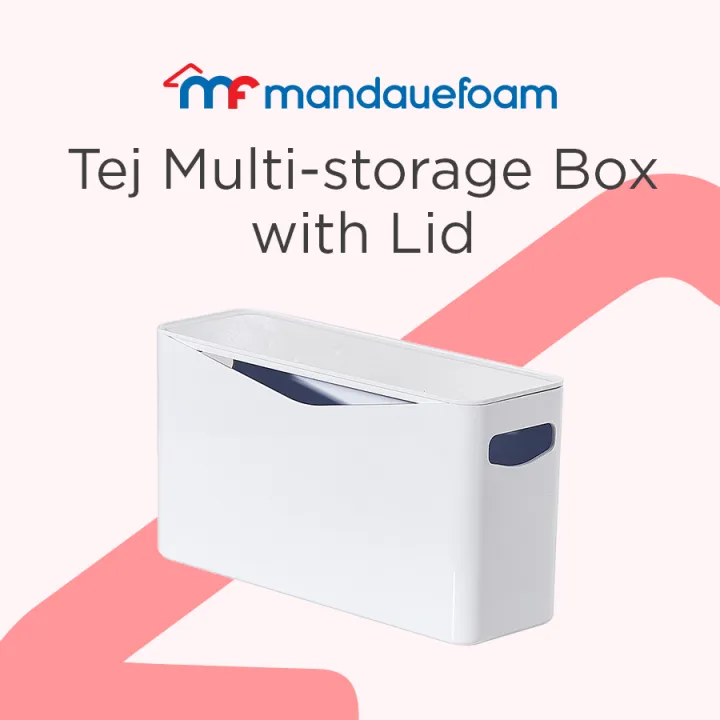 Mandaue Foam Tej Multi-storage Box with Lid | Lazada PH