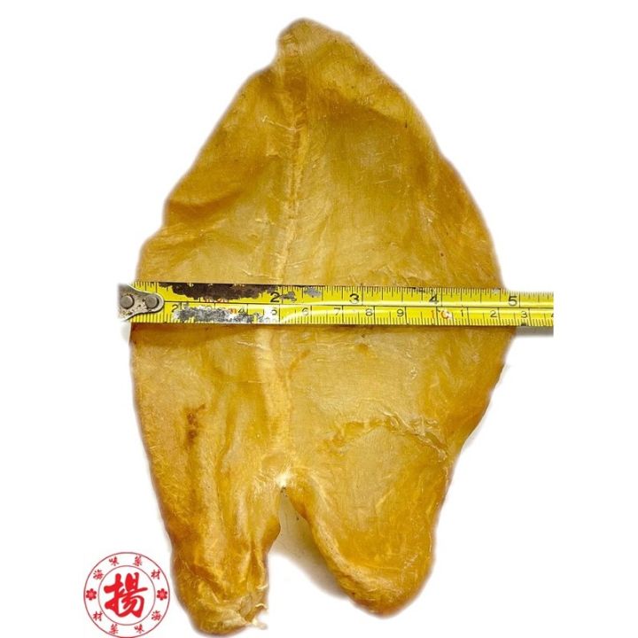 Premium Dried Fish Maw - Restaurant Grade | Lazada Singapore