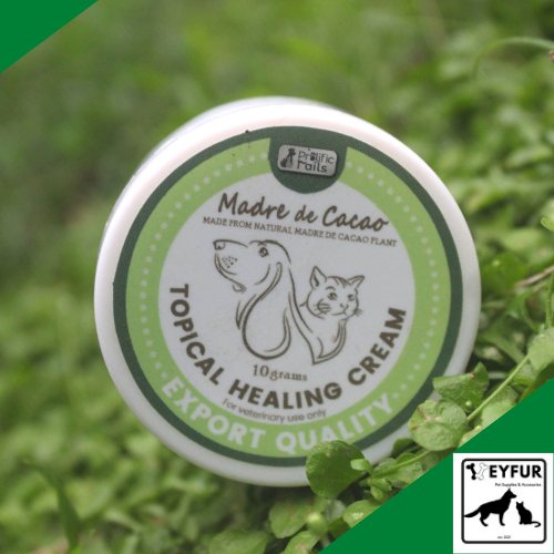 PROLIFIC TAILS MADRE DE CACAO TOPICAL HEALING CREAM 10 GRAMS | Lazada PH