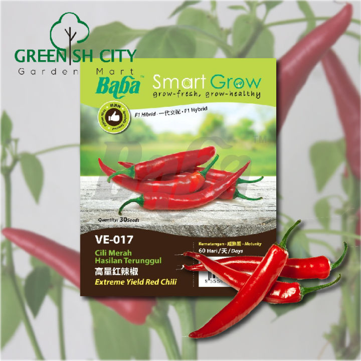 GNC - Baba Smart Grow Seeds VE-017 Hybrid Extreme Yield Red Chilli ...