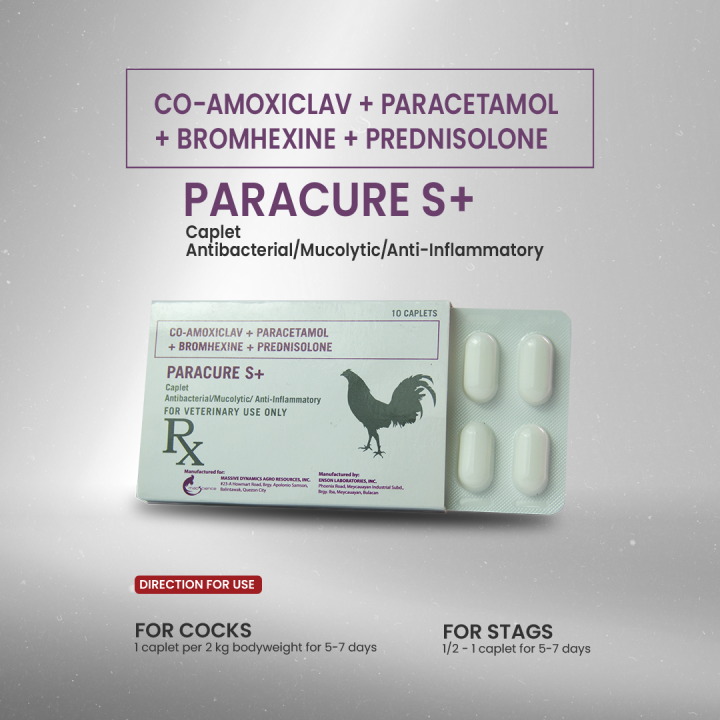 PINTAKASI 10 Caplets Mad Science Paracure S+ Antibacterial/Mucolytic ...