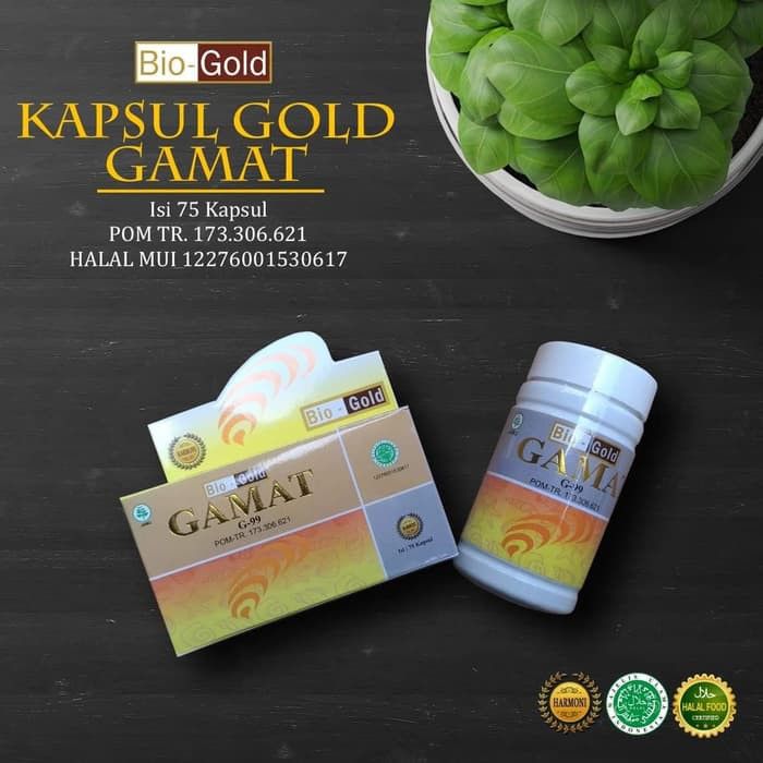 Kapsul Gamat Emas Bio Gold | Kapsul Gamat 100% | Suplemen Tulang dan ...