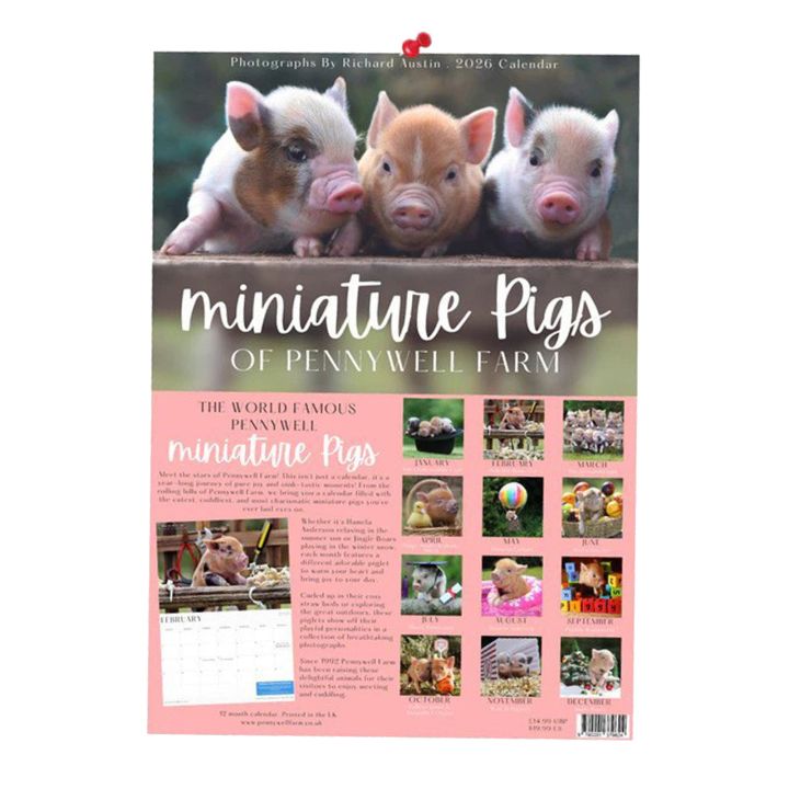xianzaibu Eco-friendly Paper Calendar Monthly Illustrated Calendar 2026 ...