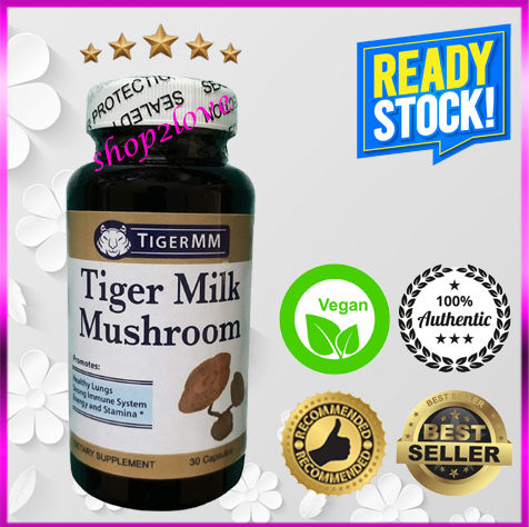 TigerMM Tiger Milk Mushroom (Lignosus Rhinocerus) Lung Support ...