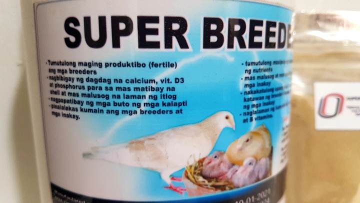 Super Breeder For Pigeon | Lazada PH