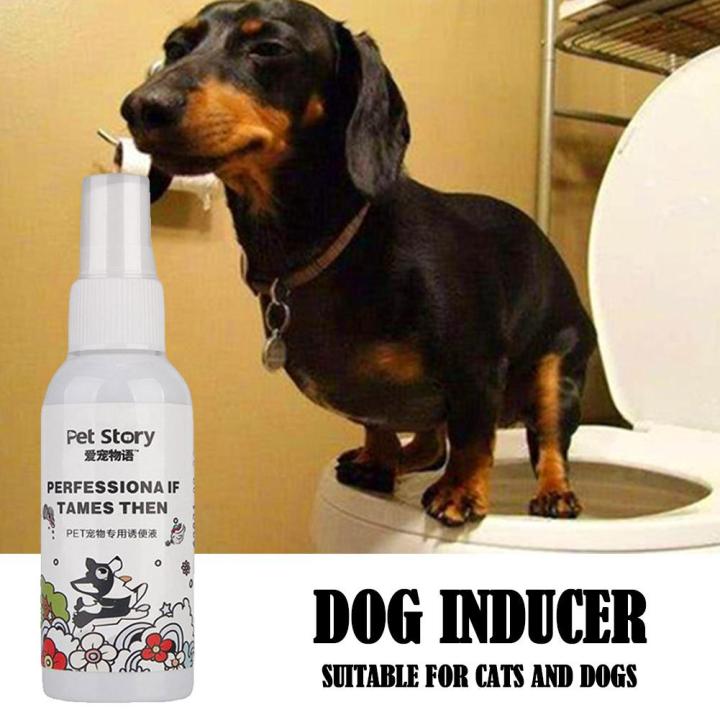 Pet Defecation Inducer Potty Spray Training Dog Pet Toilet Spray ...