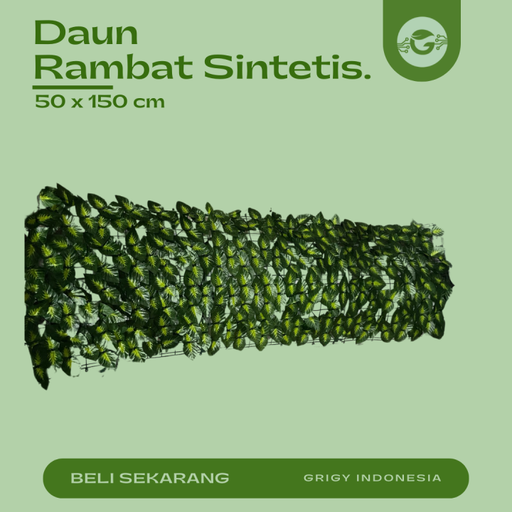 Daun sirih Rambat Sintetis 50x150 cm | Lazada Indonesia