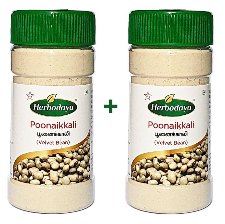 Herbodaya - Velvet Bean Powder (Poonaikali) / Mucuna pruriens - 50g x 2 ...