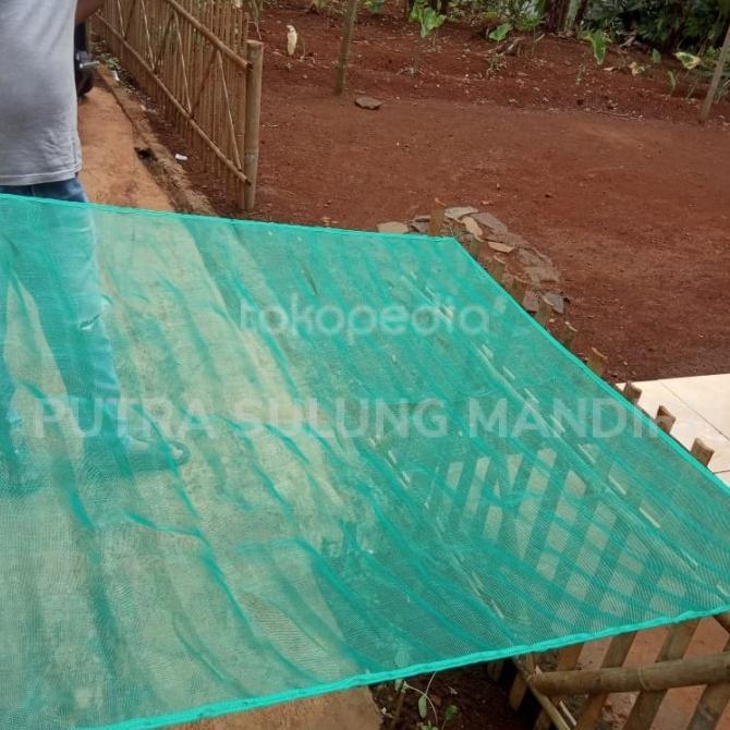 Jaring Sirib Anco Ikan Udang Ukuran 2M X 2M Siap Pakai | Lazada Indonesia