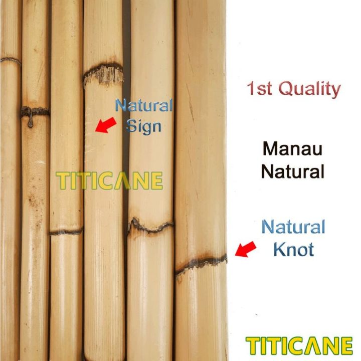 Titikane Rotan Manau Asli TITICANE MANAU RATTAN STICK/ROTAN MANAU | Lazada