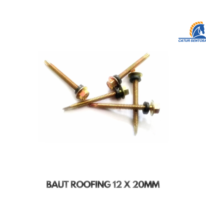 CSA 50 Pcs Baut Roofing Baja Ringan 12 x 20 Sekrup Skrup Rufing 12x20 ...