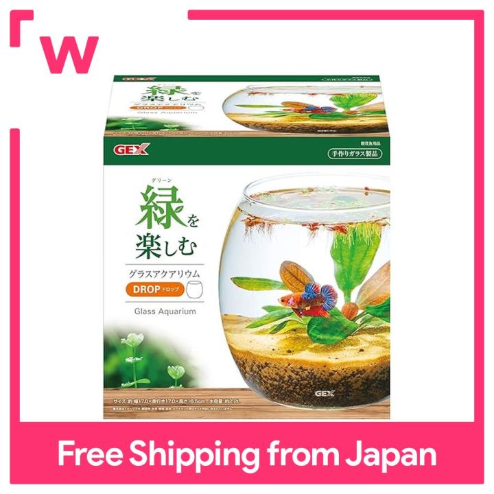 GEX AQUARIUM Glass Aqua Drop Water Plants Succulents Moss Terrarium Glass approx. 2.2L | Lazada PH