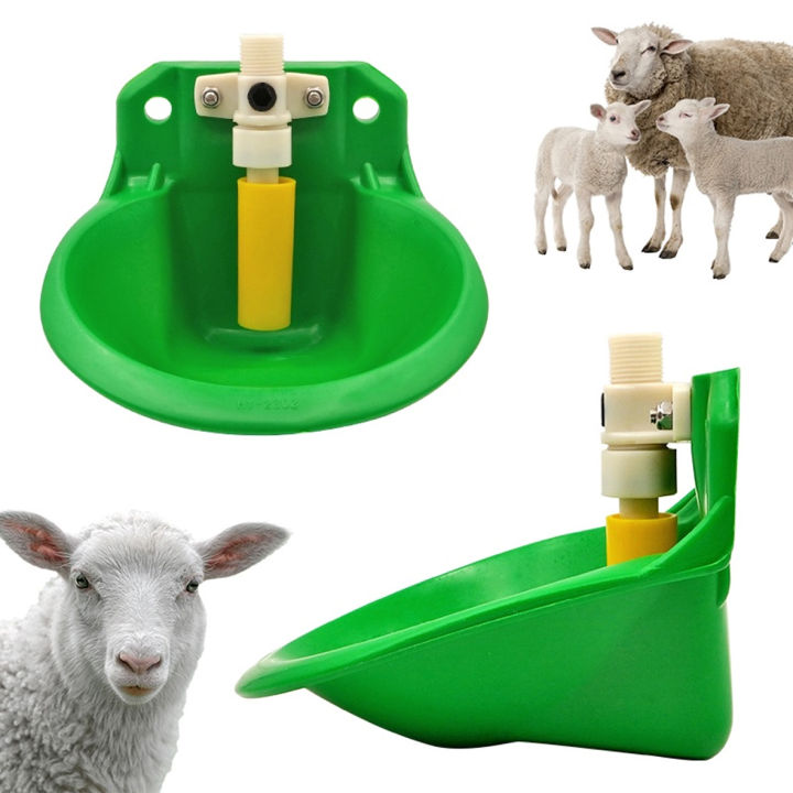 Automatic Sheep Water Drinker Feeder Water Bowl Dispenser For Goat ...
