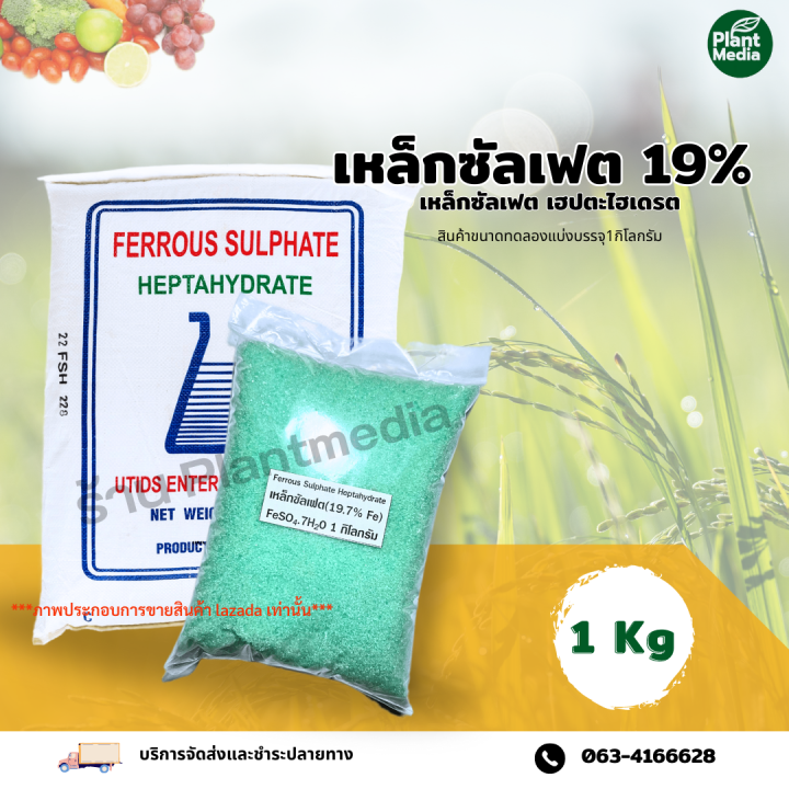 เหล็กซัลเฟต 19.7% Fe (Ferous Sulfate Heptahydrate) บรรจุ 1 กิโลกรัม ...