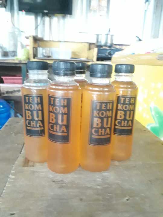 teh combucha fermentasi jamur combuca | Lazada Indonesia